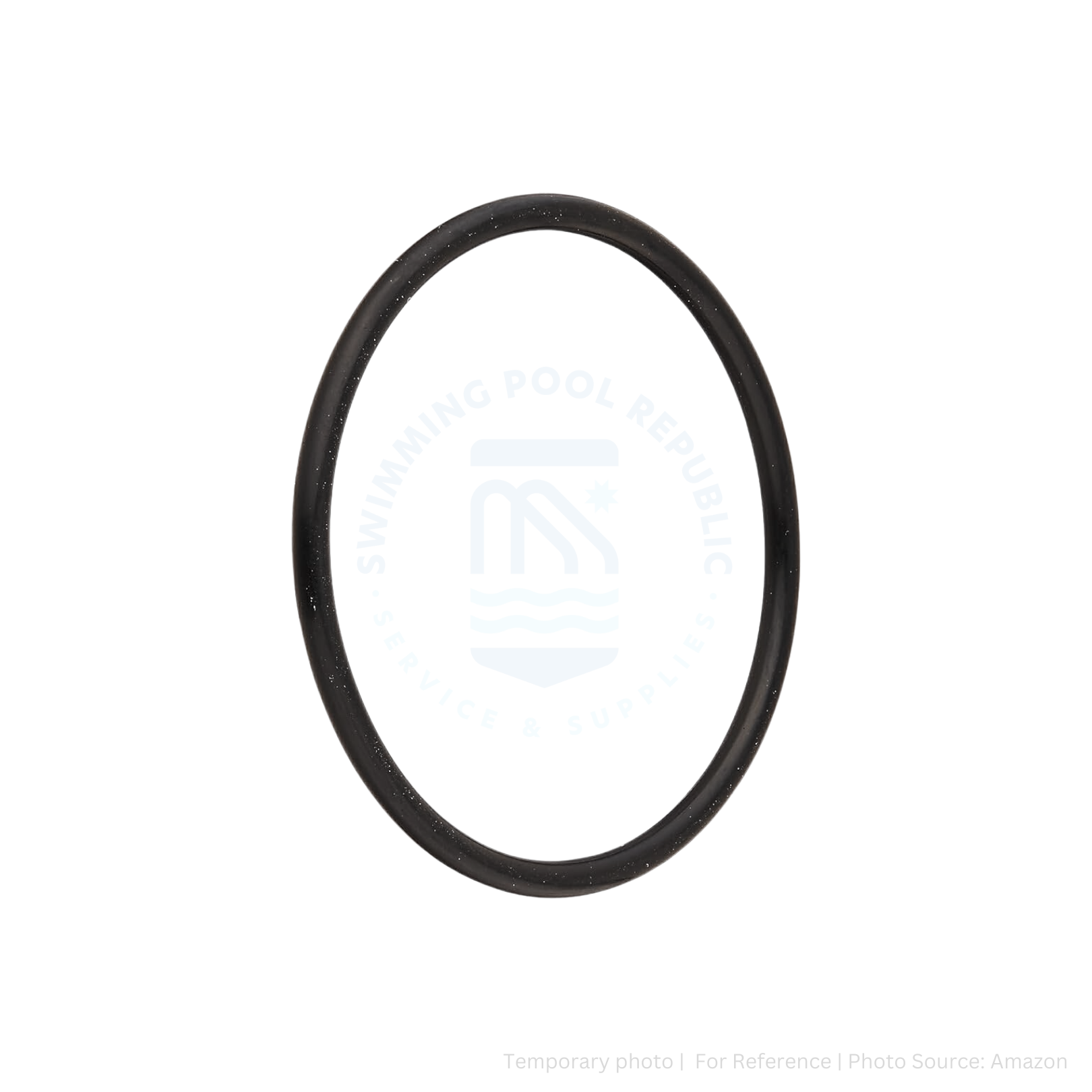 PENTAIR Easy Clean DE Filter Parts, O-ring/union - Swimming Pool Republic
