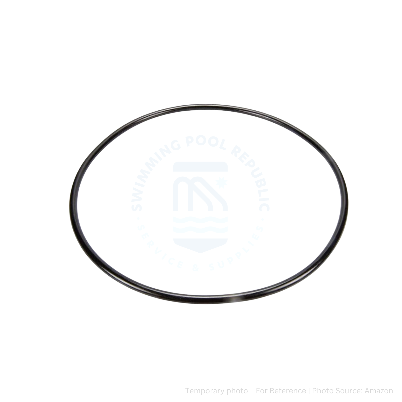 PENTAIR Easy Clean / Warrior DE Filter Parts, Body O-ring - Swimming ...