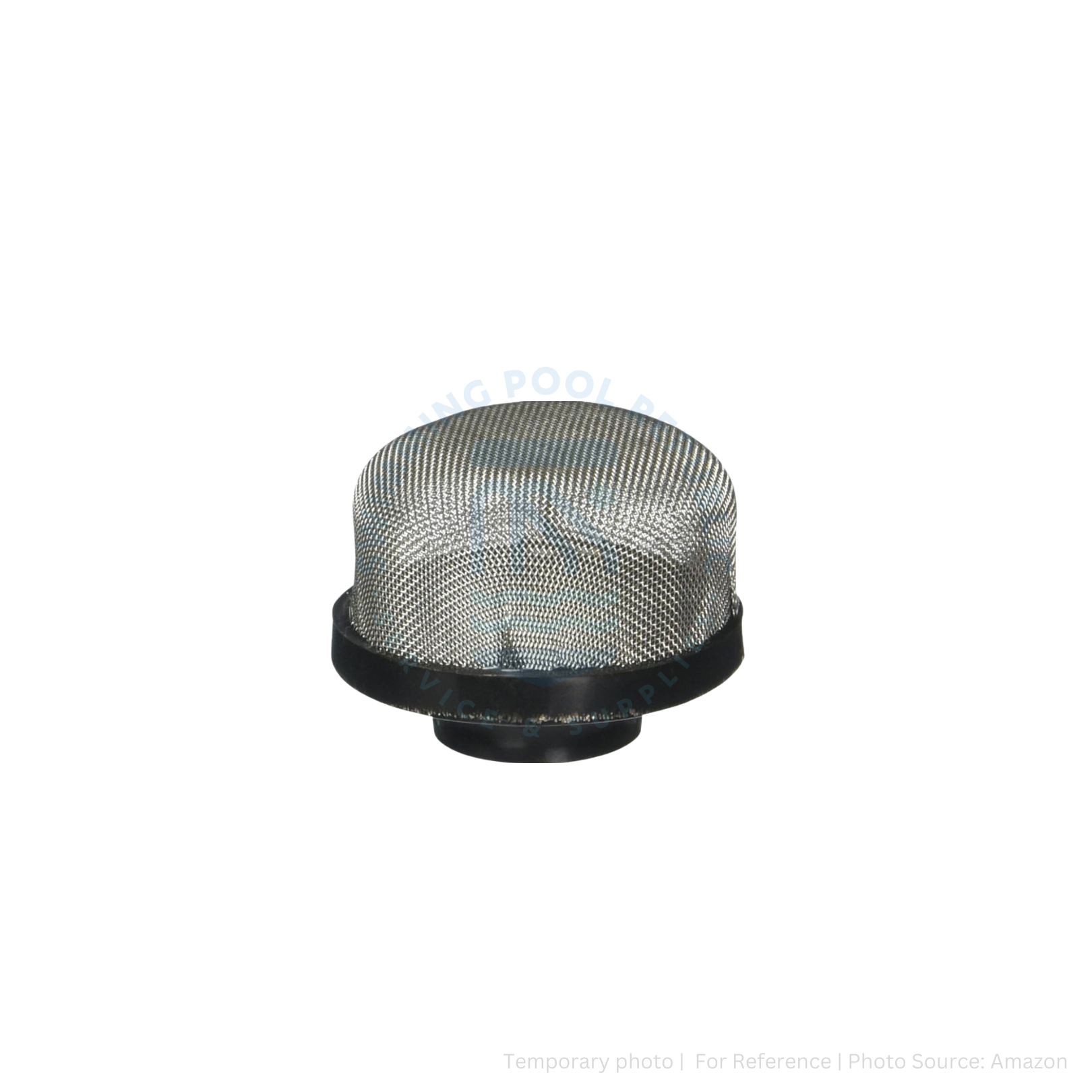 PENTAIR FNS Plus DE Filter Parts, Air Bleed Strainer - Swimming Pool ...
